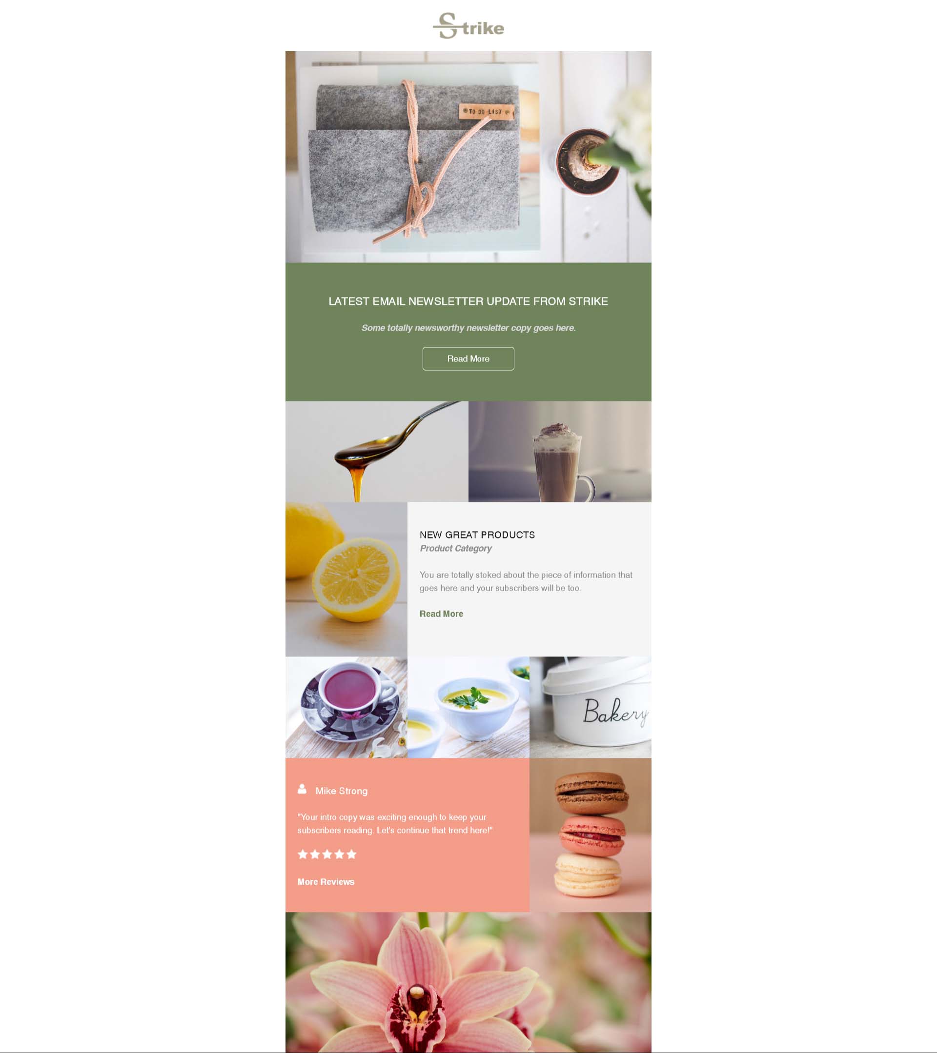 電子報製作軟體 | EDM設計 - Benchmark Email